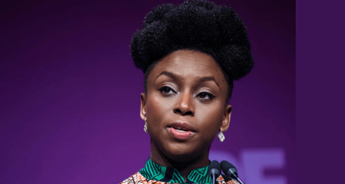 Chimamanda Adichie: Brief Look at Literal Journey
